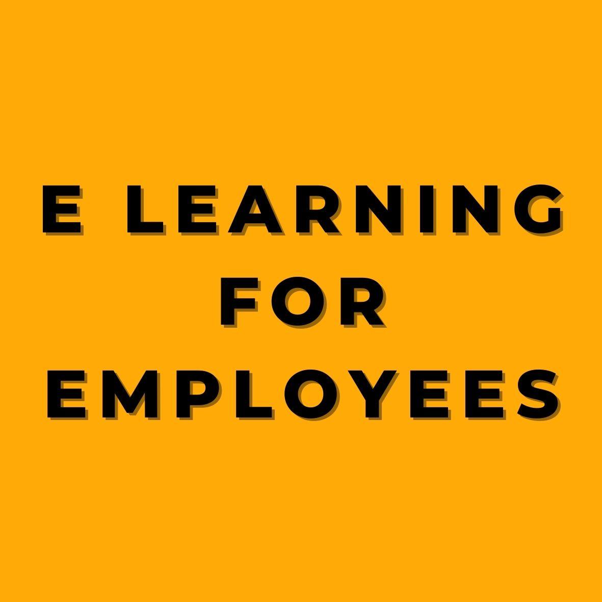E Learning For Employees Online Safety Trainer