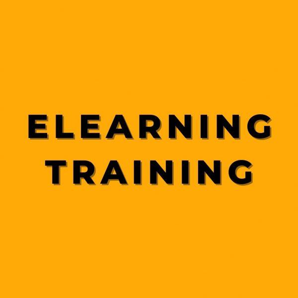 Elearning Training - Online Safety Trainer