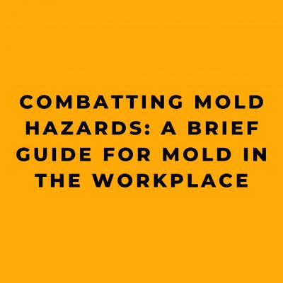 Combatting Mold Hazards: A Brief Guide for Mold in the Workplace