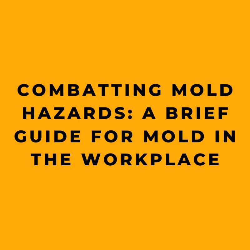 Combatting Mold Hazards: A Brief Guide for Mold in the Workplace