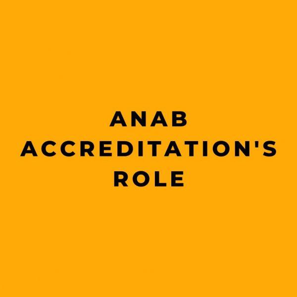 ANAB Accreditation's Role - Online Safety Trainer