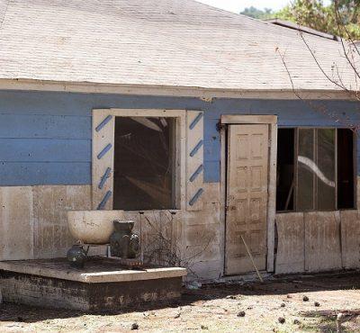 Mold in the Workplace: A Guide to Prevention, Identification, Remediation